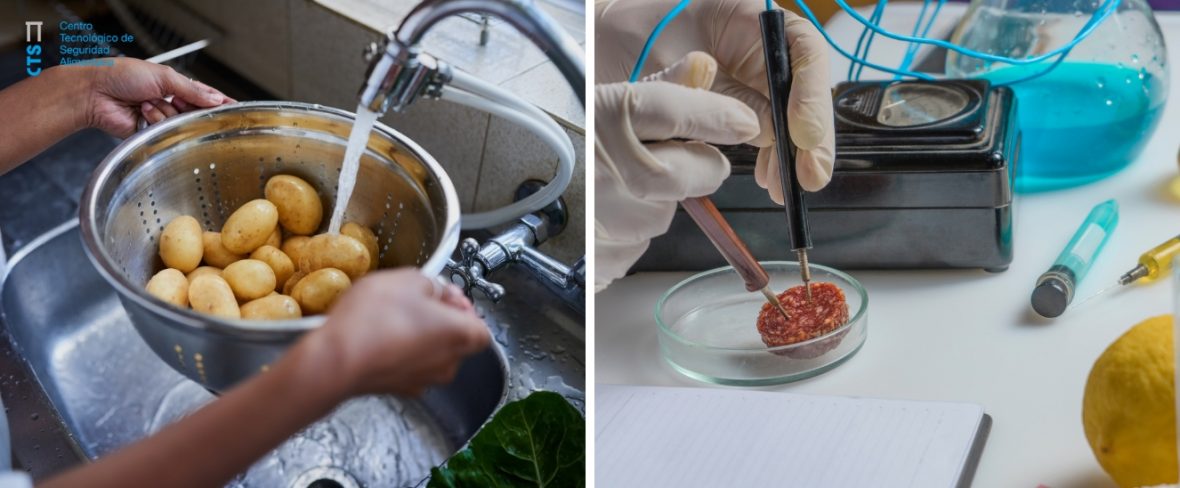 ¿Qué es la inocuidad alimentaria y qué importancia tiene?