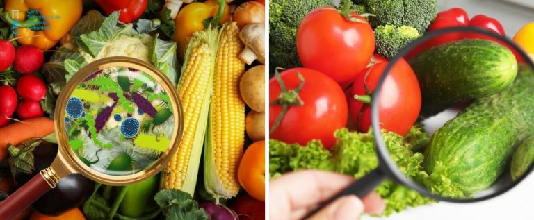 Toxiinfección alimentaria: Todo lo que necesitas saber