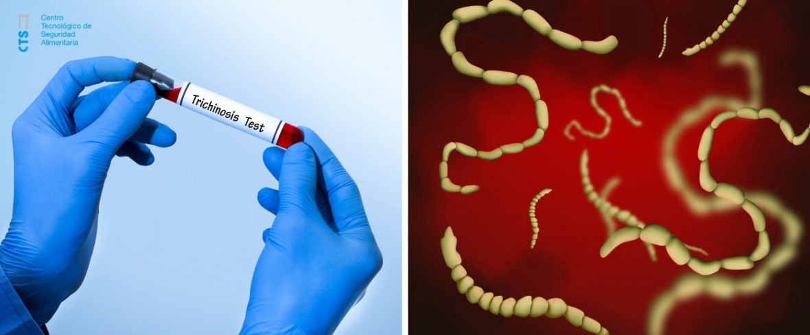 Enfermedad de Triquinosis | Centro Tecnológico de Seguridad Alimentaria